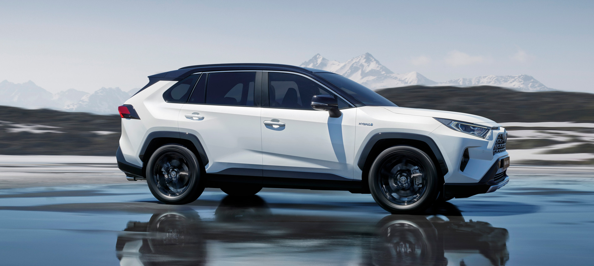 Comparativa: Toyota C-HR vs Toyota RAV4 | Diferencias, precios y ...